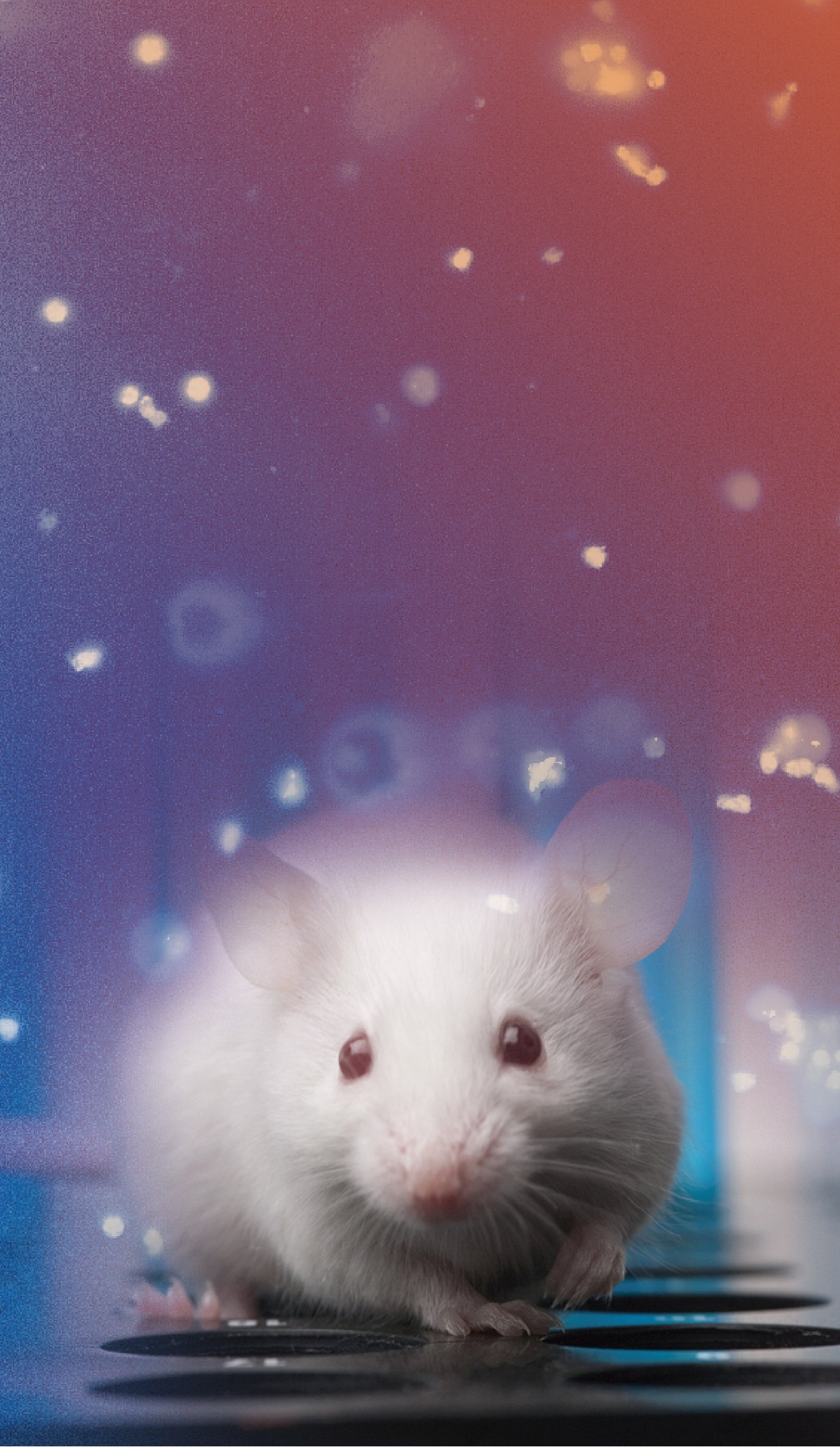 主要仪器-保诺-桑迪亚_BioDuro-Sundia