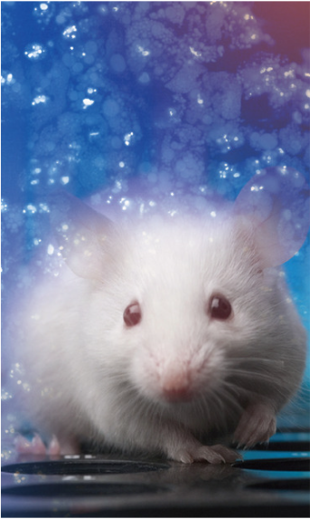 Solution Engine 2.0-保诺-桑迪亚_BioDuro-Sundia